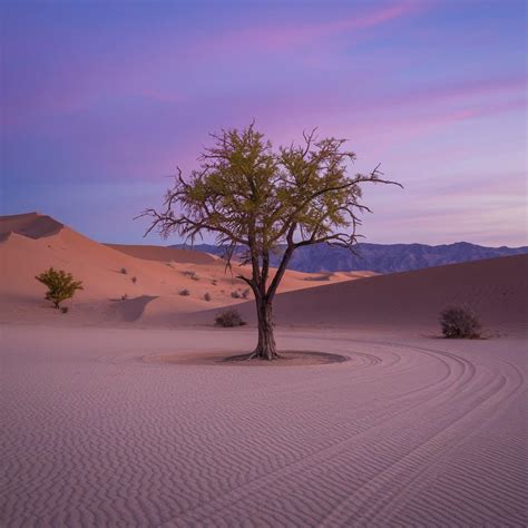 40 Profound Quotes That Explain Life In A Sentence Daily Quotify