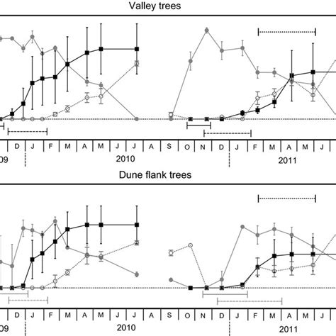 Schematic Representation Of The Coarse Root System Of A Valley Tree And