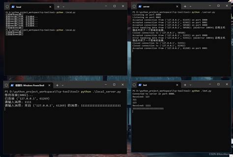 Python Socket 实时通信，多对多，一对一，转发python Socket信息转发 Csdn博客