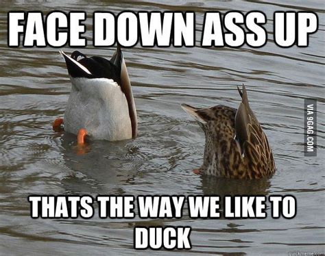 Face Down Ass Up 9gag