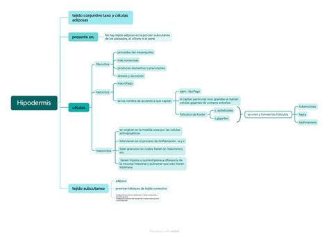 Hipodermis Brigitte Cabanillas Udocz