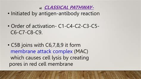 Seminar Basics Of Immunology Antigens Antibodies Immunoglobulins And Complement System Pptx