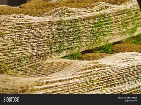 Stacks Sod Rolls New Image And Photo Free Trial Bigstock