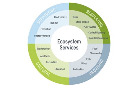 Sweco Group Report Circular City Transformation 5 Pathways And 15