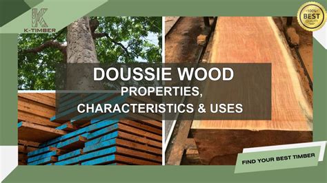 Pine Wood Properties Characteristics And Uses