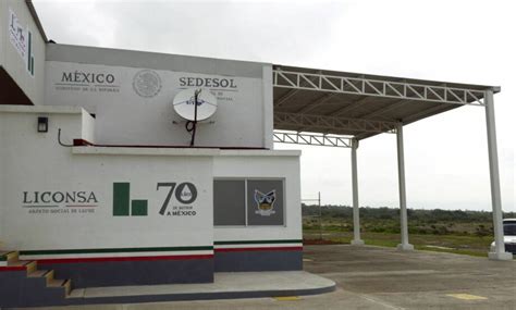 Liconsa Dejará De Importar Leche En Polvo Este Año • Once Noticias