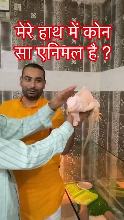 Dr Umar Khan Youtube