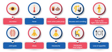 Prevention And Management Of Hepatitis B Ask The Nurse Expert