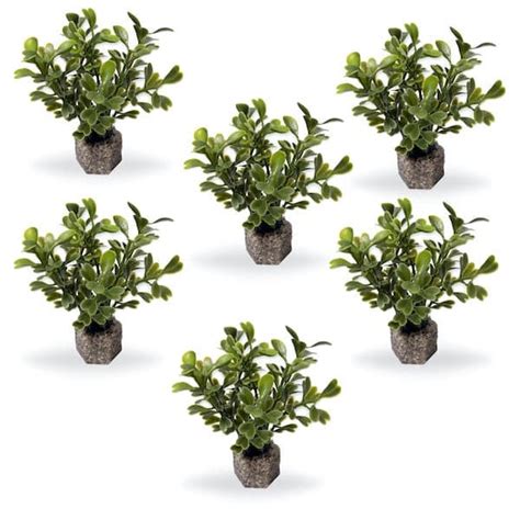 Small Button Leaf Plant Dark Green 6 Pk Aquarium Decor