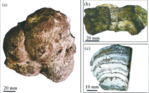 深海海底的宝藏——多金属结核和富钴结壳