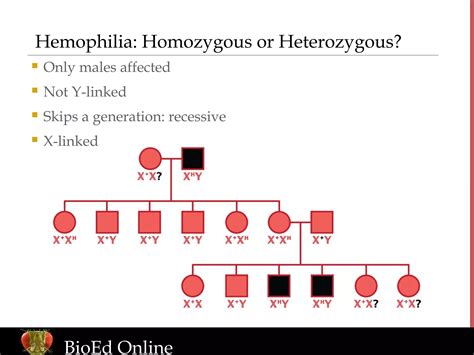 Pedigree Examples Ppt