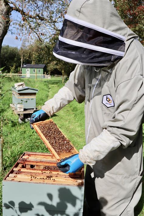 Anglesey Bees Honey Beekeeping Training And Experiences