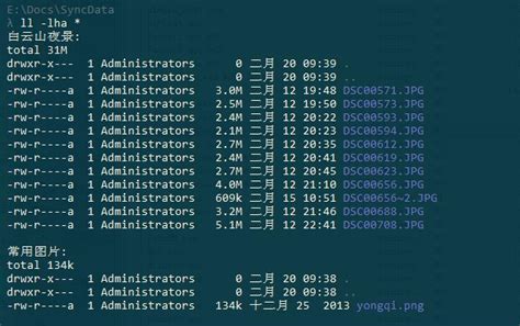 windows 下最佳 ls 命令行选择 恋羽日记