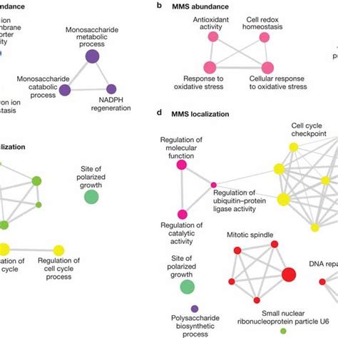 Global Analysis Of Protein Relocalization In Response To Replication
