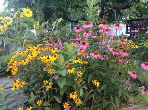 Zelienople Historical Zelienople Historical Society