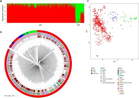Of Population Analysis For Worldwide B Carinata Collection A Bar