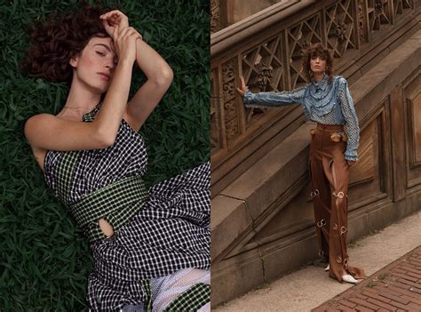 Newfaces The Royal Tannenbaum