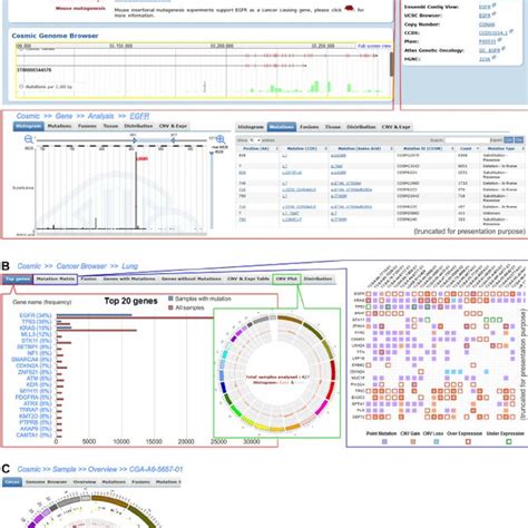 Three Levels Of Data Analysis In The Cosmic Browser A Screenshot