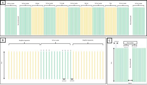 Experiment Design Single Block A Pe Single Plot B And Border