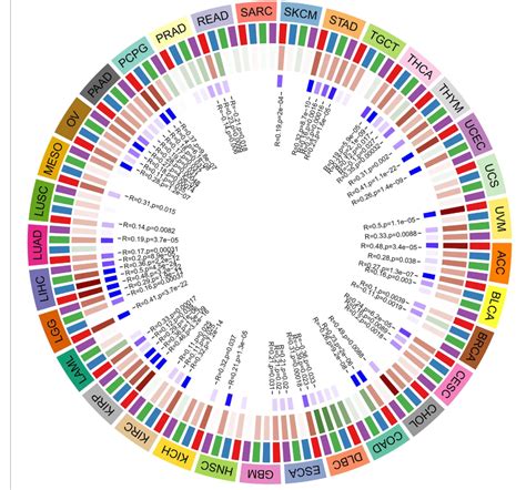 这图怎么画 环形热图（分类连续变量） Csdn博客