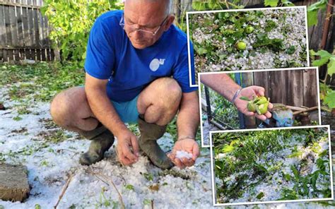 Ploi Torențiale și Grindină Distrug Grădini și Livezi în Mai Multe Zone