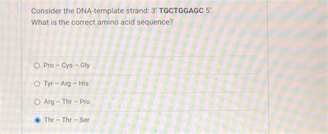 Solved Given The Following Dna Coding Sequence 5′