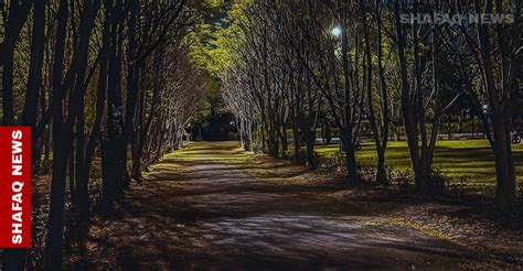 بعد إثارته من قبل شفق نيوز وزير يرفض بشدة اقامة مشروع سكني في غابات الموصل شفق نيوز