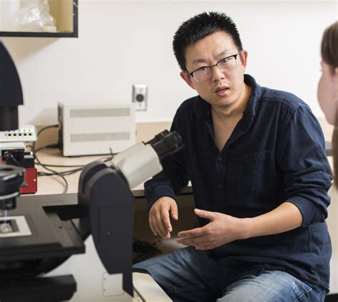 Research By Osu Biophysicist Shows How Tissues Microscopic Geometry Affects Spread Of Cancer