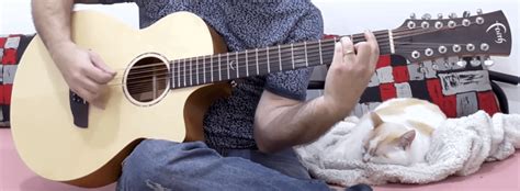 Easy 12 String Guitar Chords To Learn Bettermuseek