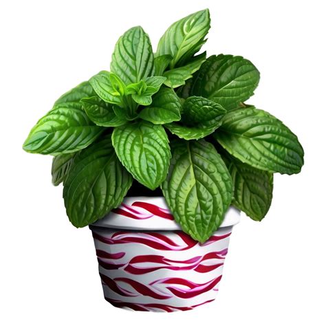 Download Peppermint Plant Pot Png 06112024