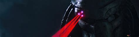 Predator Laser Sight 4k Wallpaper Download