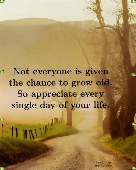 Appreciate Every Single Day Of Your Life Not Everyone Is Given The