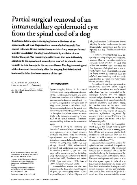 Pdf Partial Surgical Removal Of An Intramedullary Epidermoid Cyst