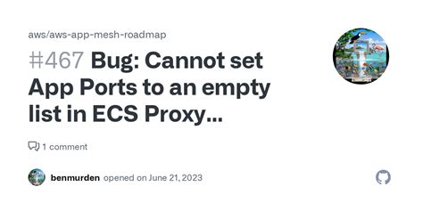 Bug Cannot Set App Ports To An Empty List In Ecs Proxy Configuration
