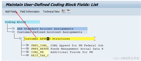 Sap会计凭证 编码块（coding Block）屏幕增强 增加自定义字段 Fb03 F 02 等sap Coding Block Csdn博客