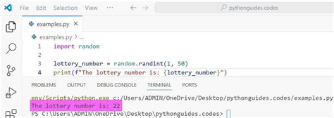 How To Use The Randint Function In Python