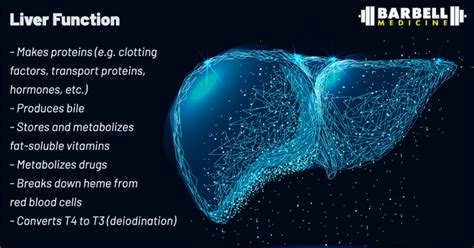 How Does Exercise Affect Liver Function Tests Barbell Medicine