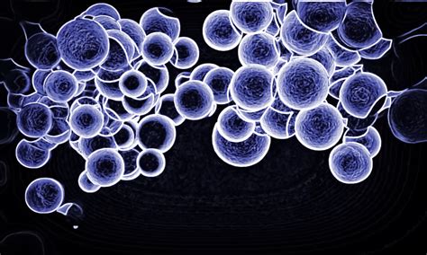 Using Quantum Dot Microscopes To Show Electric Potentials Of Atoms