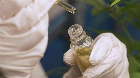 Cbd Testing Cannabinoid Content Thc Levels And Contaminants
