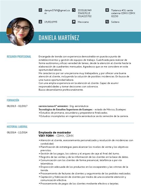 Daniela Cv 2 Pdf Marketing Business