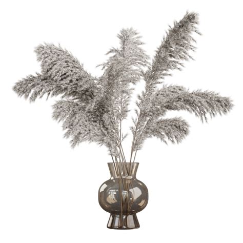 Interior Plant 3d Model Pack 1 For Blender • Imeshh 3d Model Library