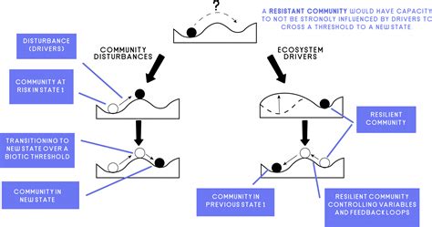 Nonequilibrium Ecology And Ecosystem Resiliency Rangeland Ecosystems