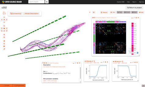 github openworm c302 the c302 framework for generating multiscale