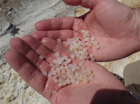 Taylor Walters Denyer Lac Assal Djibouti