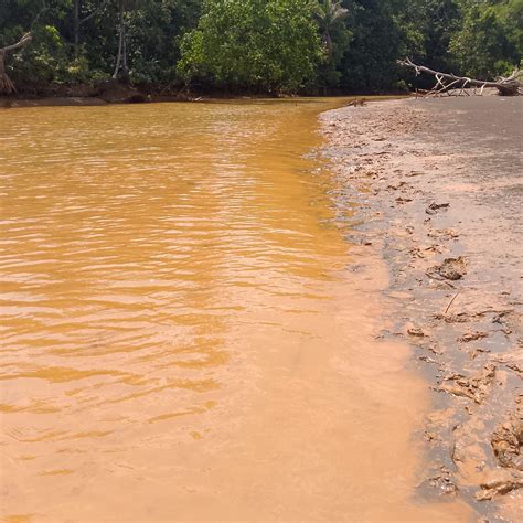 Pabrik Baterai Di Atas Kehancuran Ekologis Teluk Buli Halmahera Timur