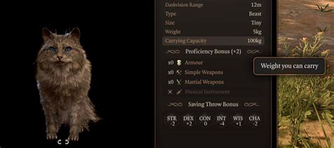 Stronk Kitty 🖤 R Baldursgate3