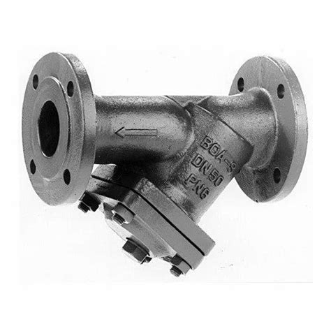 Ss Strainer At Best Price In Mumbai By Capro Valves And Controls Private Limited Id 2853262623348