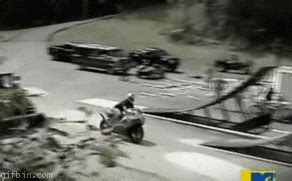 Random Picture Thread Page 11