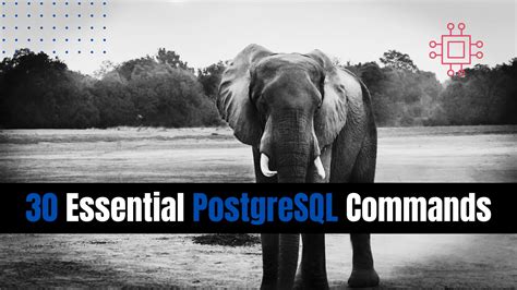 30 Essential Postgresql Commands