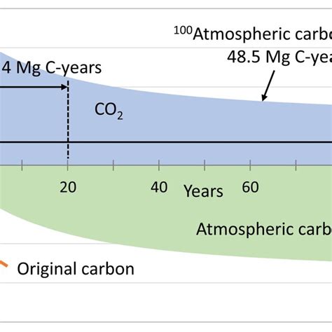 The Fate Of One Megagram C As Co2 Orange Area Released To The